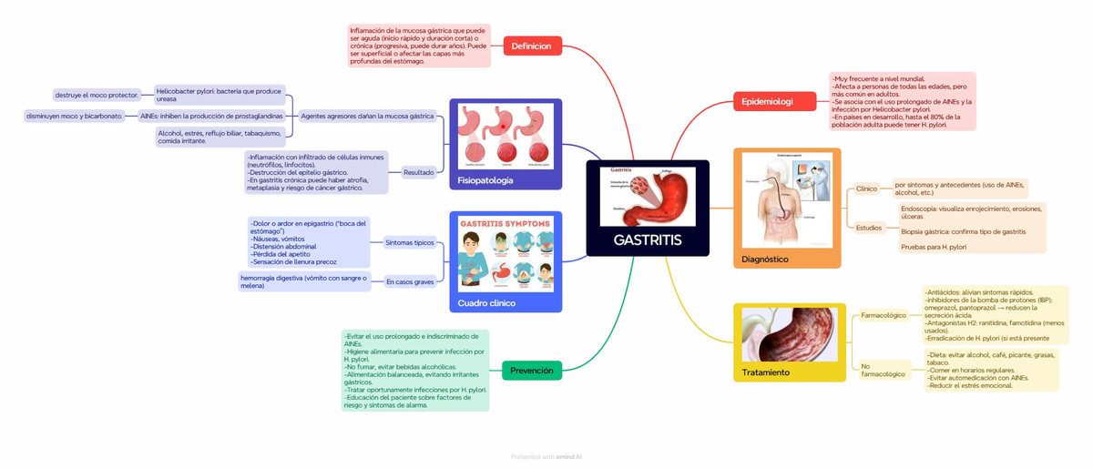 Mapa de Gastritis: Causas, Síntomas y Tratamiento (Curso de Medicina ...