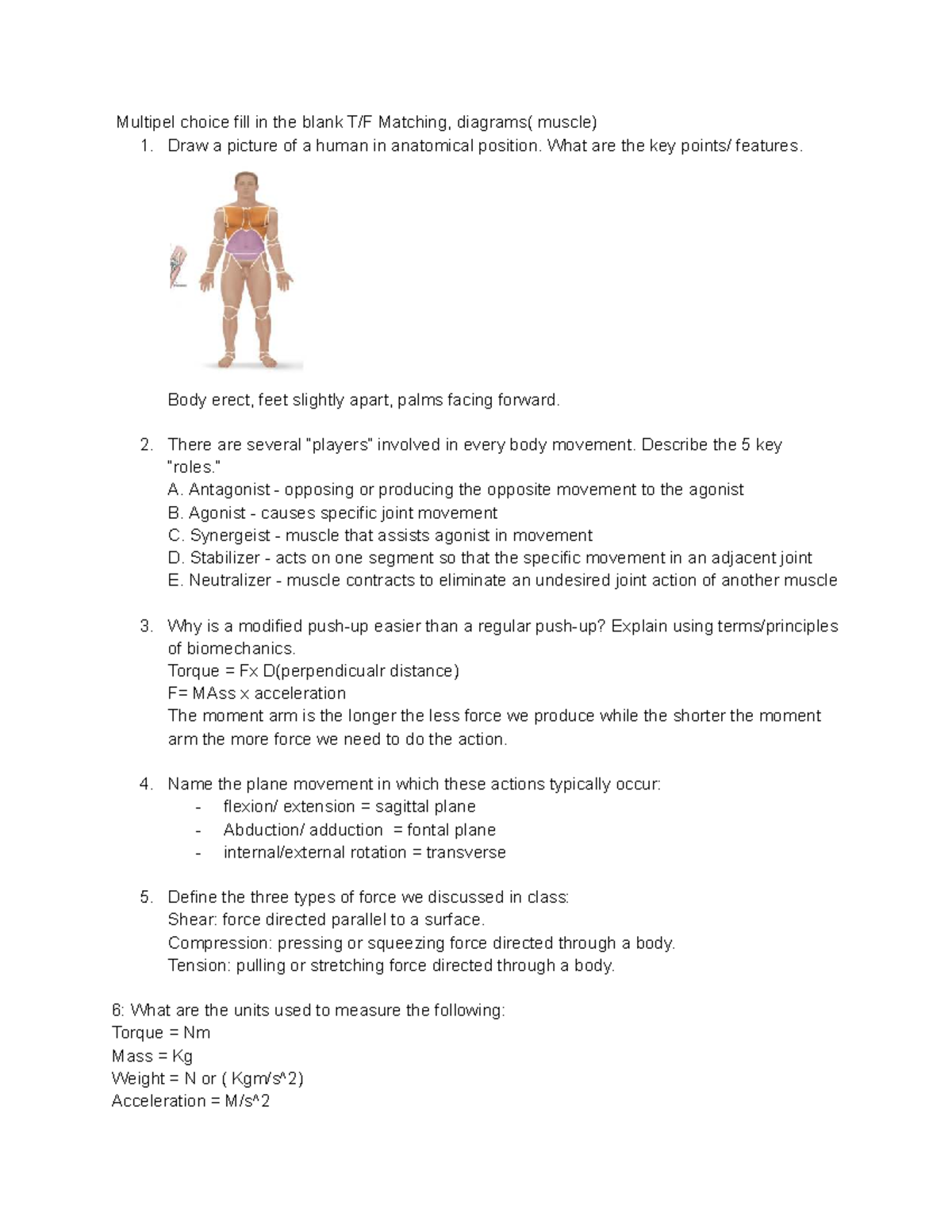 Intro to Exercise Science Exam 3 Review: Key Concepts and Diagrams ...