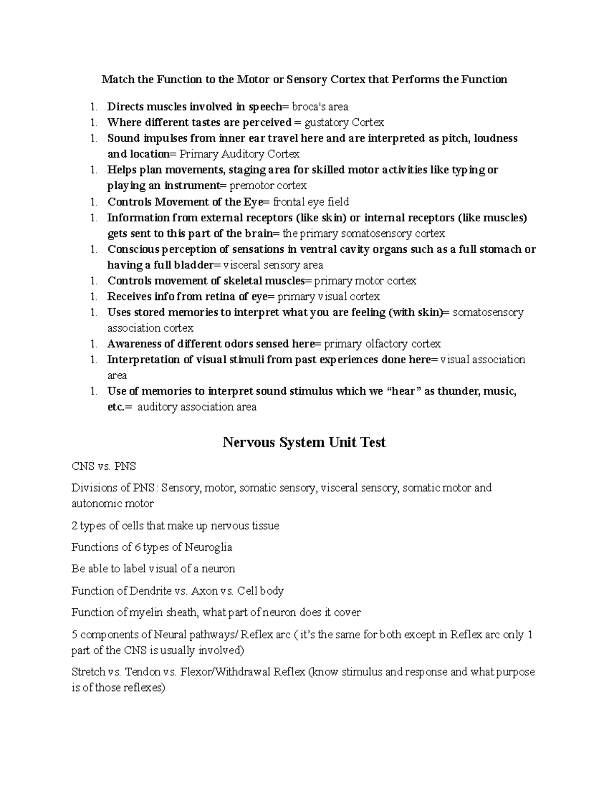Anatomy brain and nervous system test - Google Docs - Match the ...
