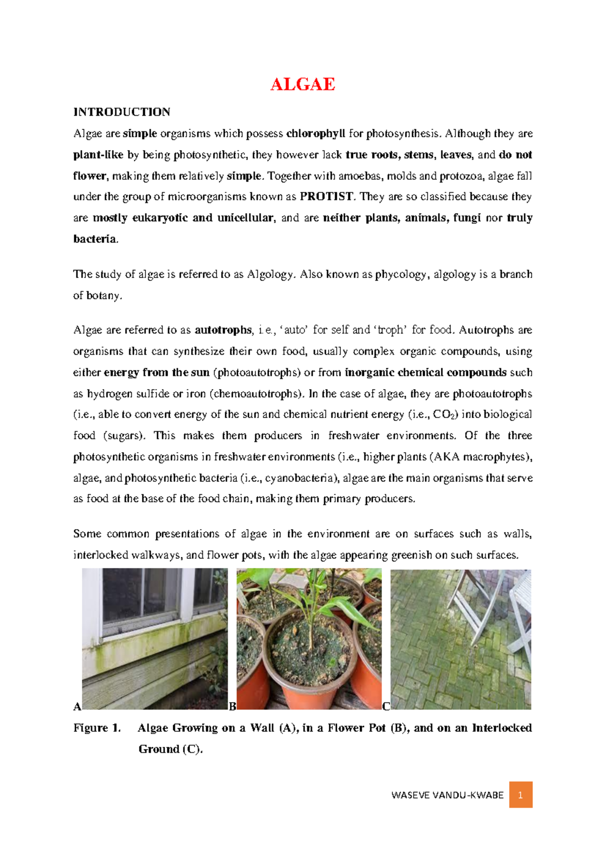 ALG 101: Lecture Notes on Algae – Structure, Nutrition & Reproduction ...