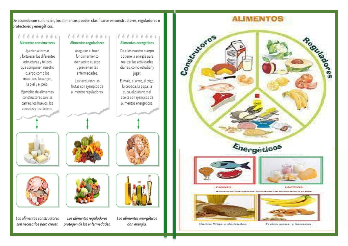 Clasificación de Alimentos: Constructores, Reguladores y Energéticos ...