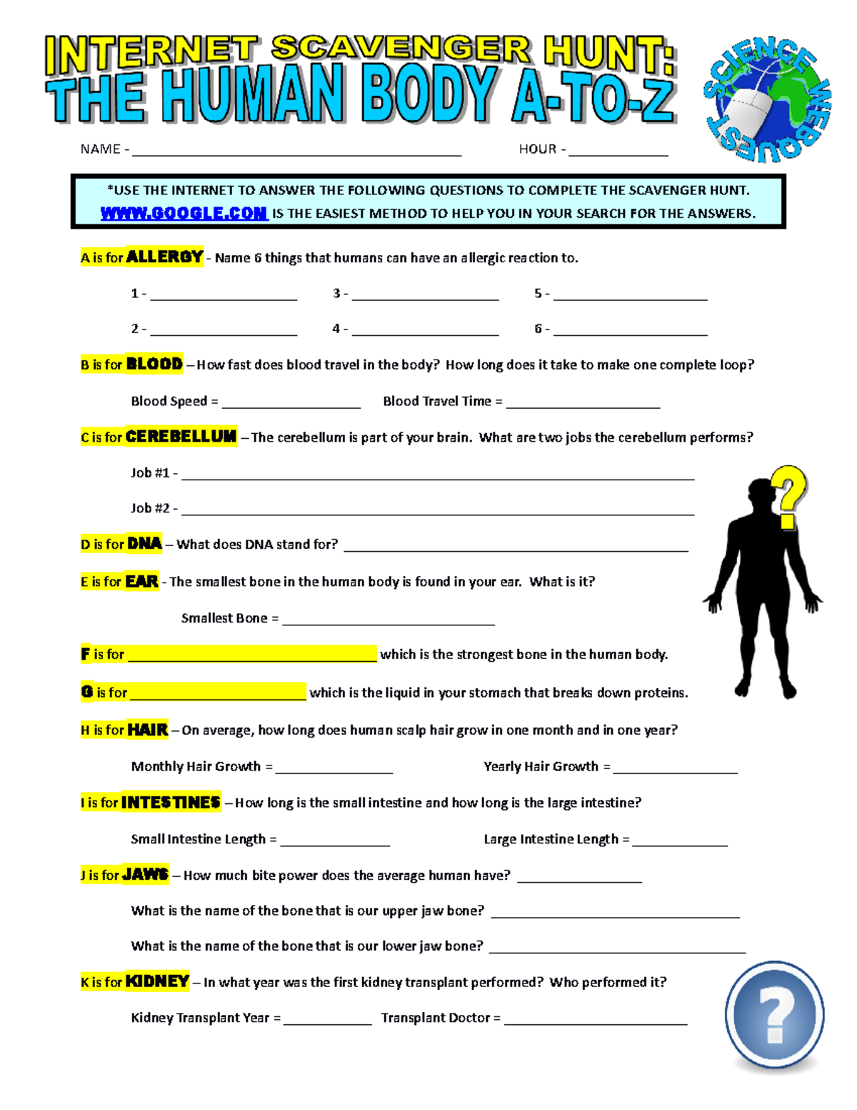 Human Body Scavenger Hunt Answer Key Pdf - Infoupdate.org