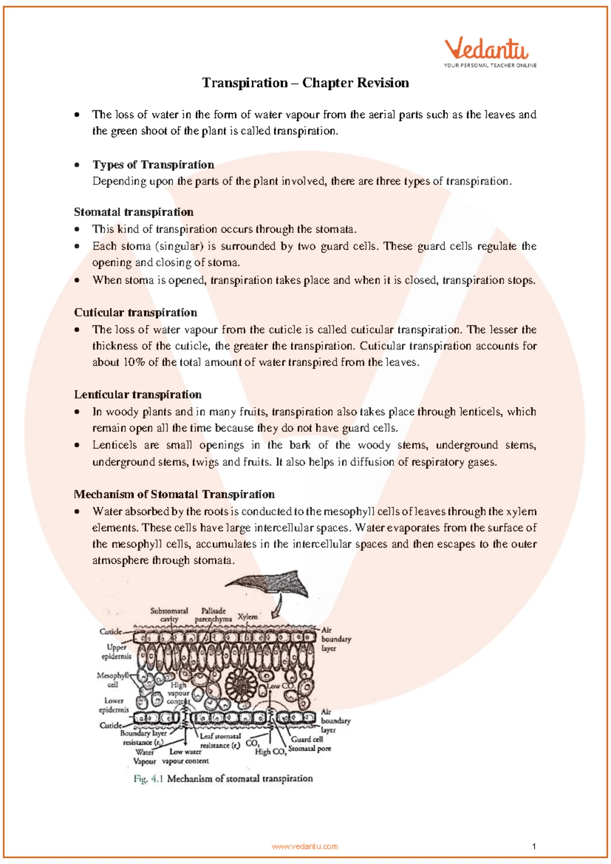 Class 10 Biology Chapter 4 Revision Notes - Absorption by Roots ...