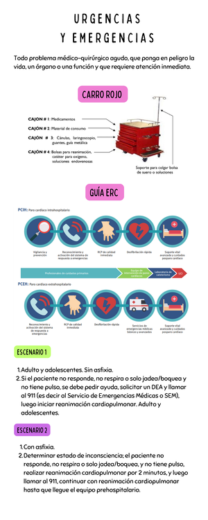 Historia clínica neonatal NPCM - Historia Clínica Neonatal Ficha de ...