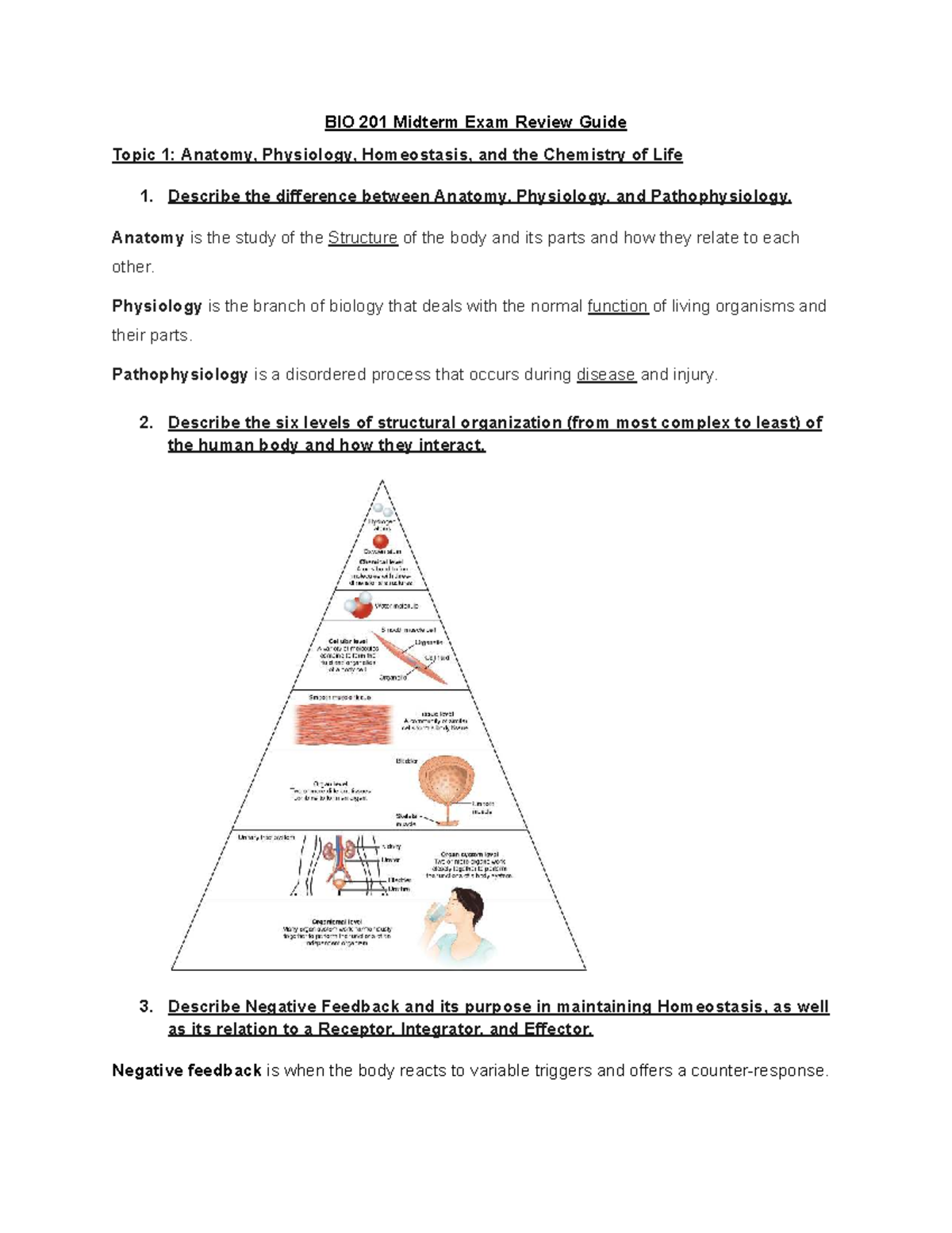 BIO 201 A&P Midterm Exam Study Guide: Anatomy, Physiology, and More ...