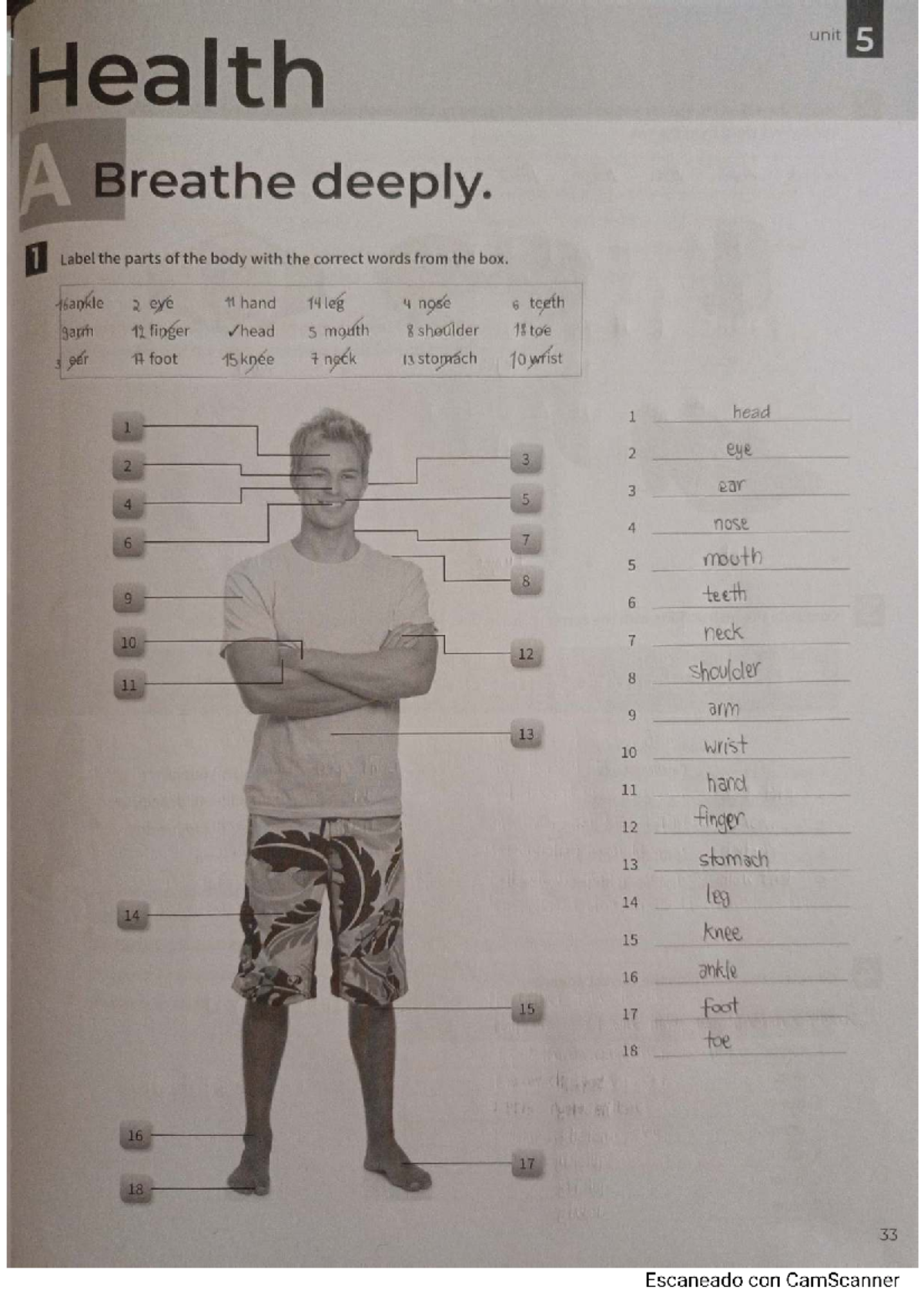 Unit 5 Health: Body Parts, Healthy Habits, and Exercises - Studocu