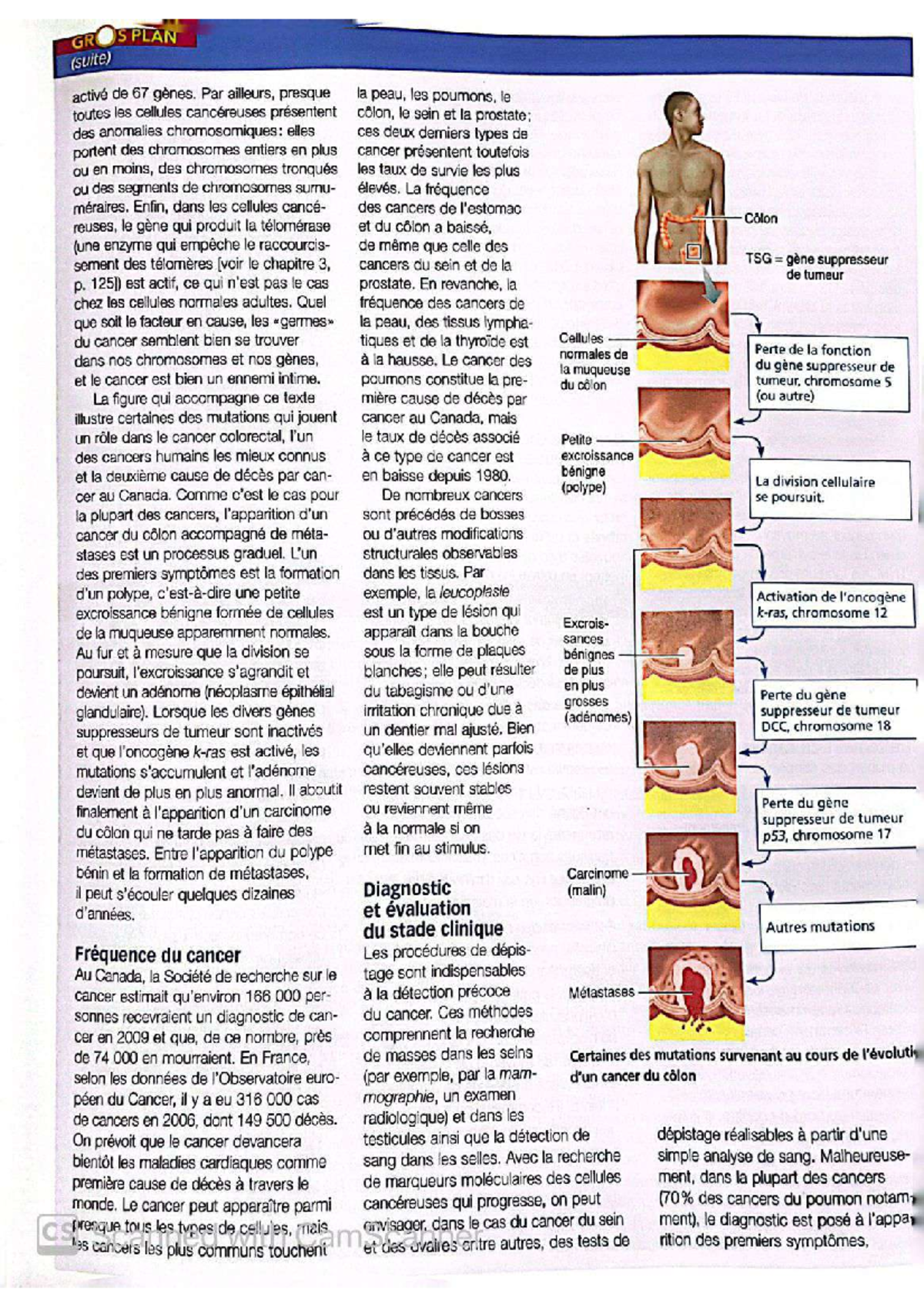 Im2 - notes - Biologie et santé - Studocu