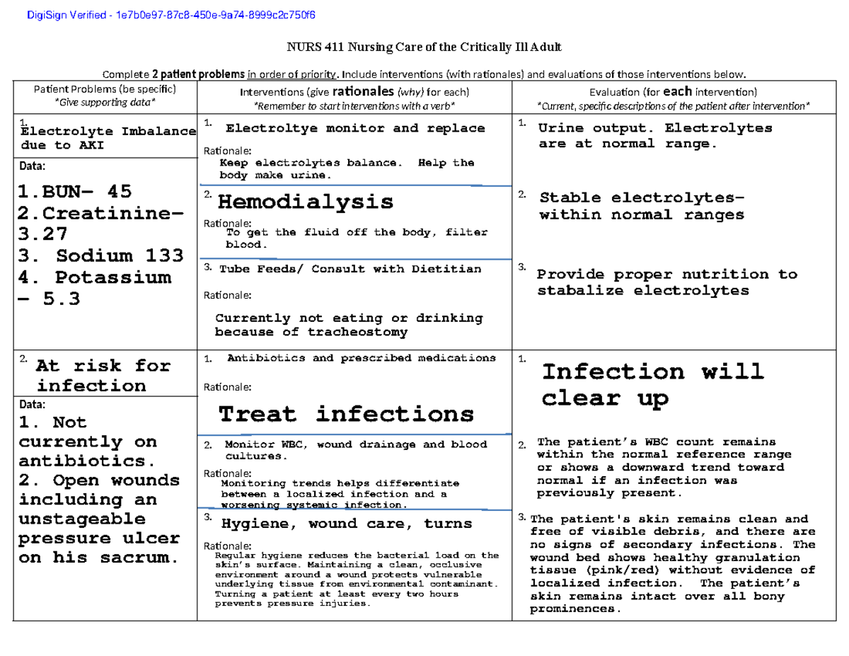 NURS 411 Final Exam Care Plan: Prioritizing Patient Problems and ...