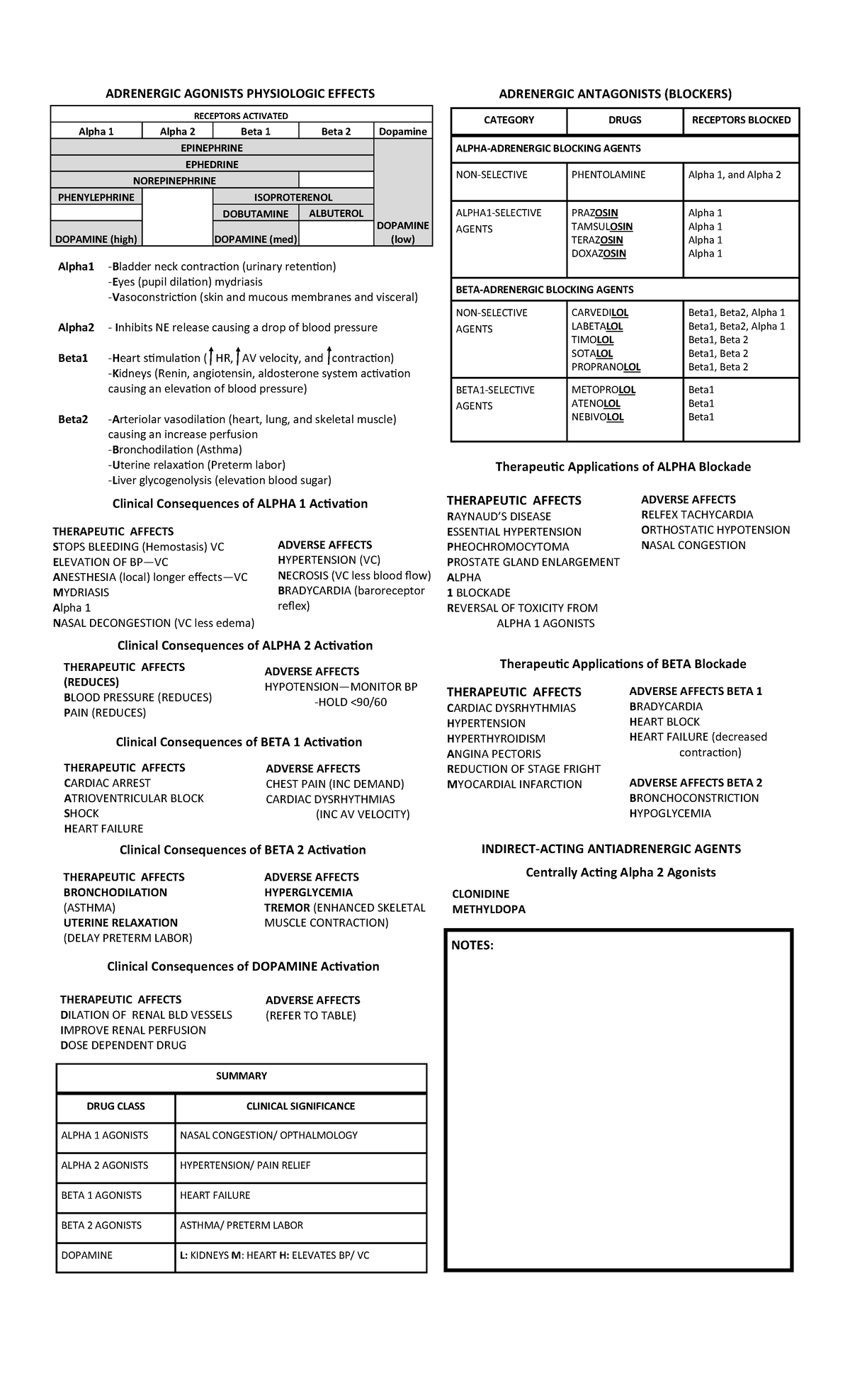 Adrenergic Drugs Summary: Effects of Agonists & Antagonists - Studocu
