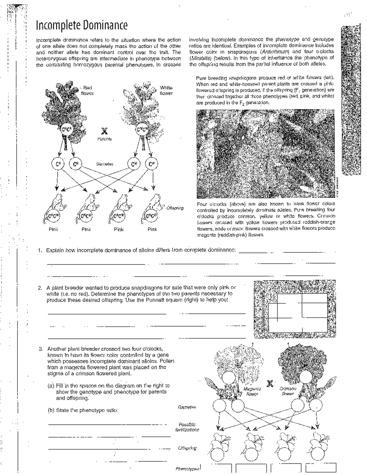 165 Advanced Genetics: Incomplete Dominance, Codominance, and Sex ...