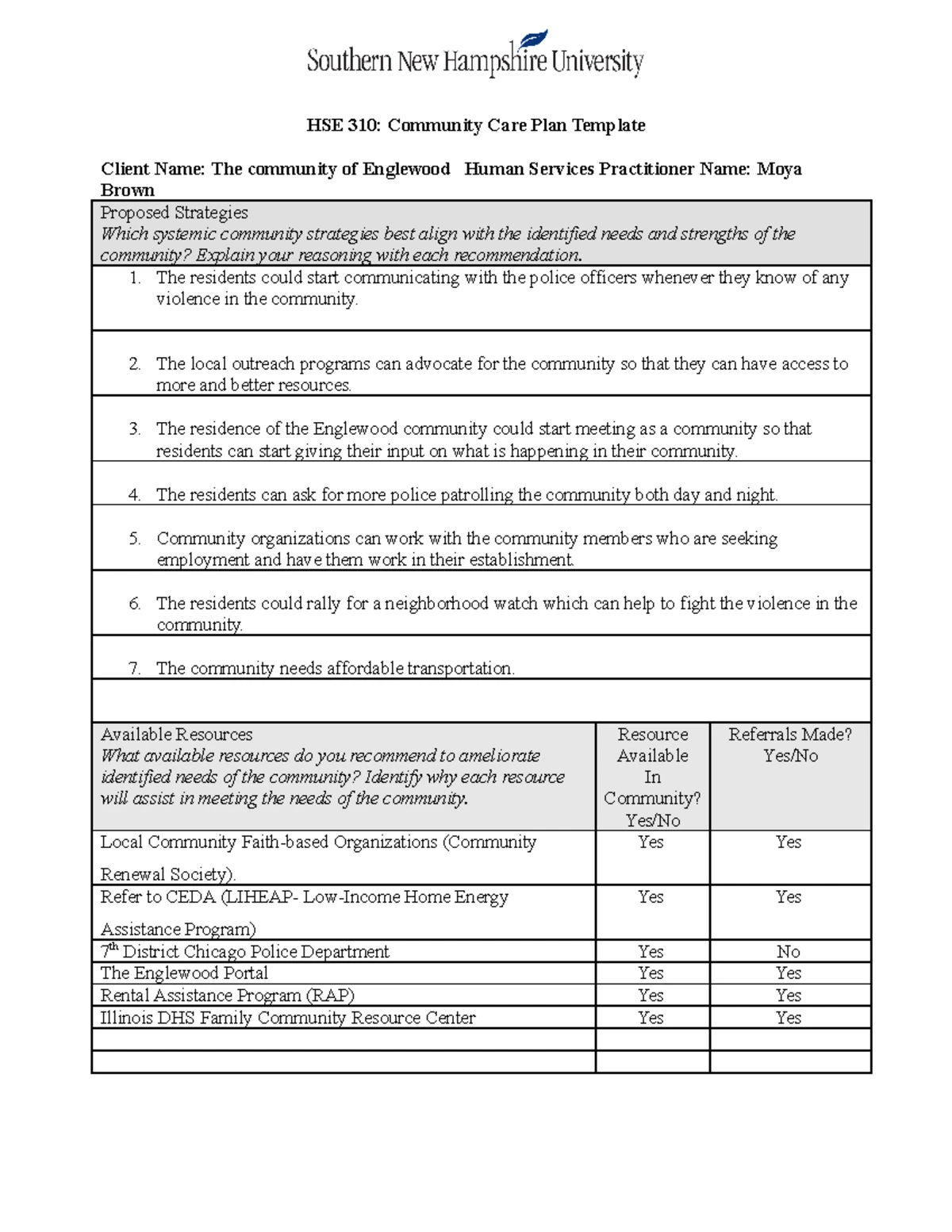 HSE 310 Community Care Plan Template - HSE 310 Community Care Plan ...