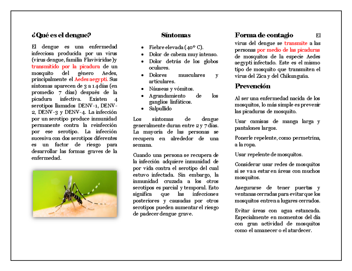 Triptico del Dengue: Síntomas, Transmisión y Prevención en Ciencias de ...