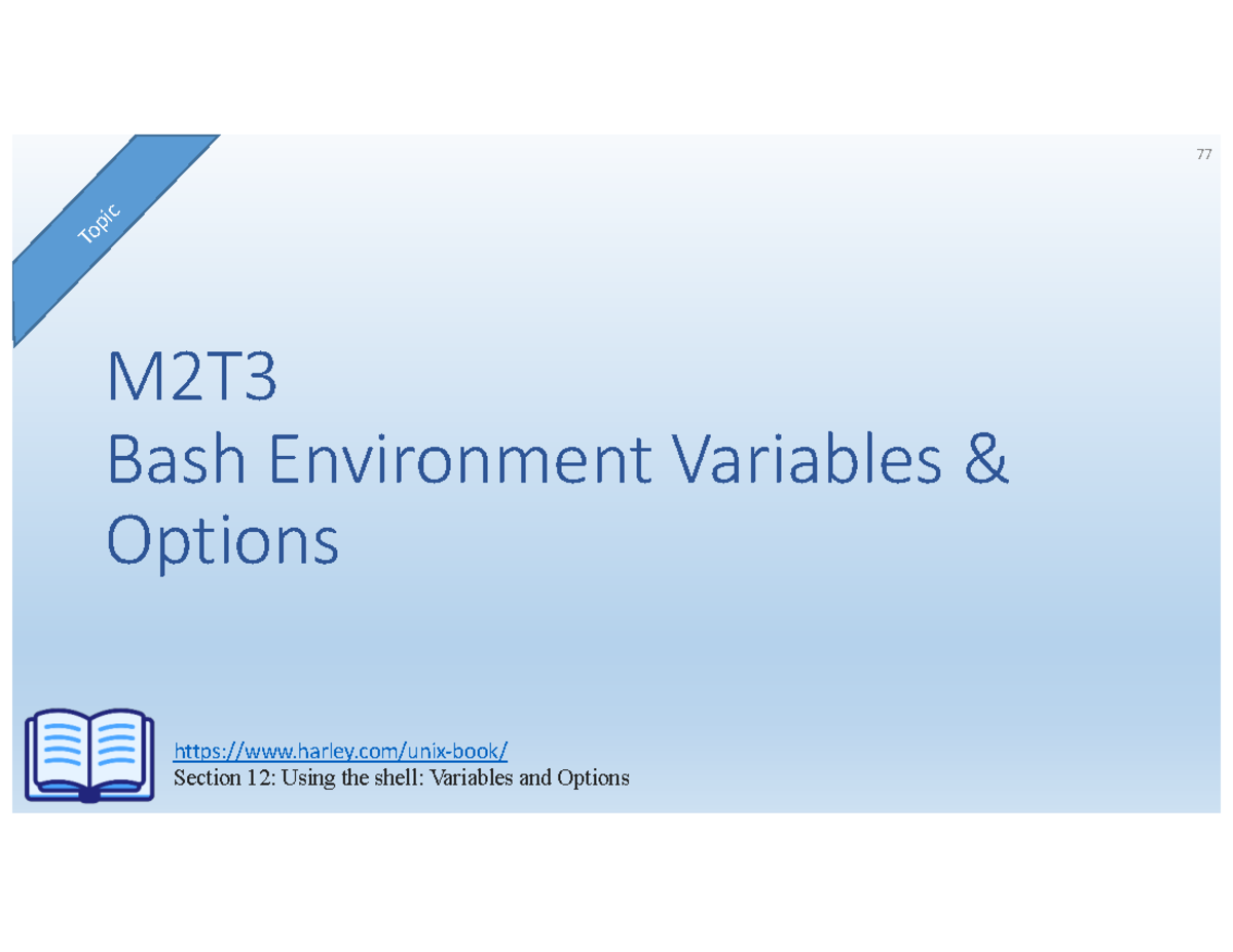 Bash CLI Environment Variables & Prompt Customization - COP4931 M02 ...