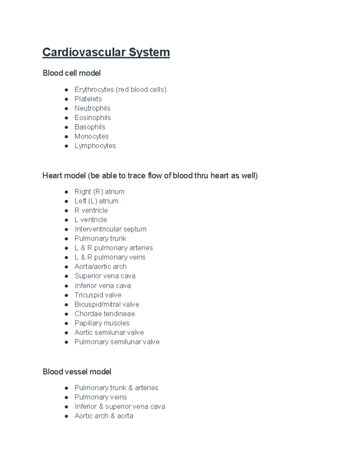 Anatomy Study Guide: Cardiovascular & Respiratory Systems - Studocu