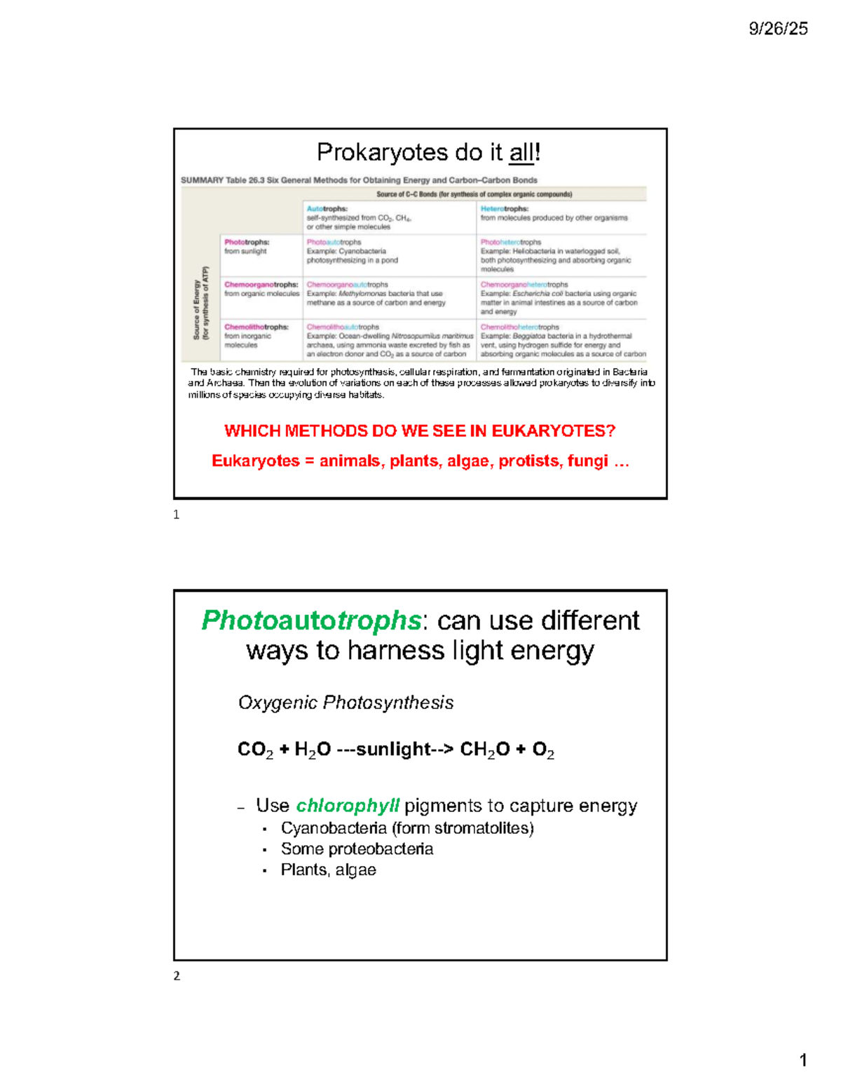 Endosymbiosis Theory & Eukaryotic Photosynthesis Evolution (Bio 101 ...
