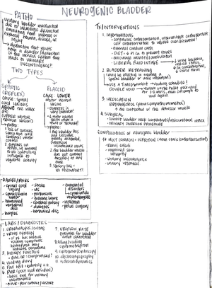 Final Exam Study Guide for Course Code: ABC123 - CHAPTER 59 ...