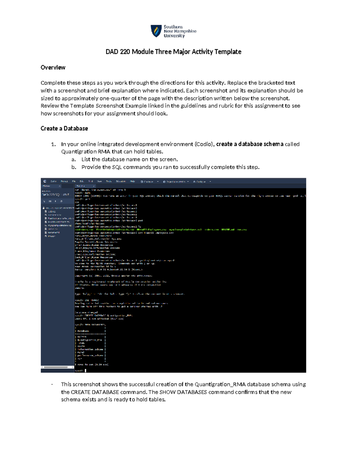 DAD 220 Module Three Major Activity - Replace the bracketed text with a screenshot and brief ...