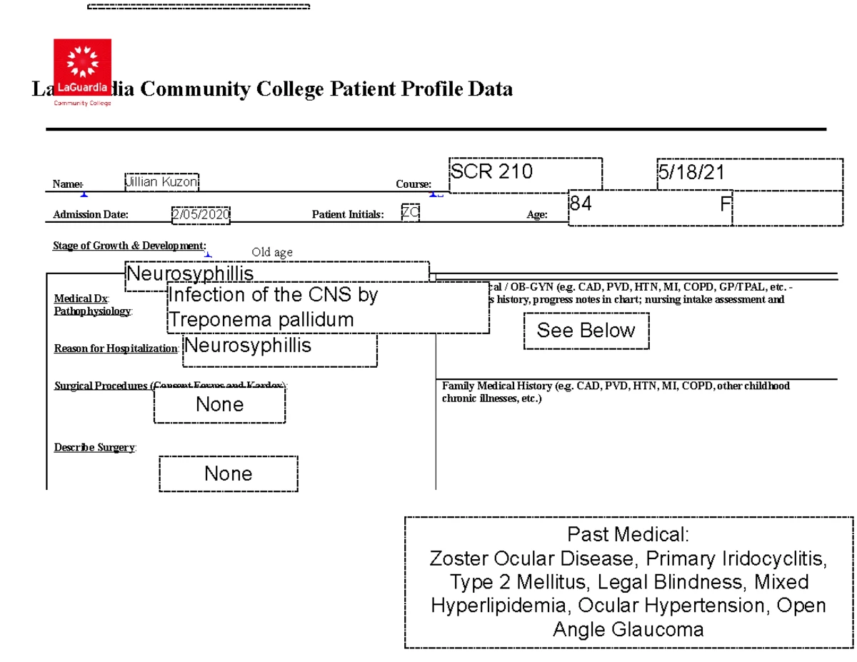 Concept Care Map Final copy - LaGuardia Community College Patient ...