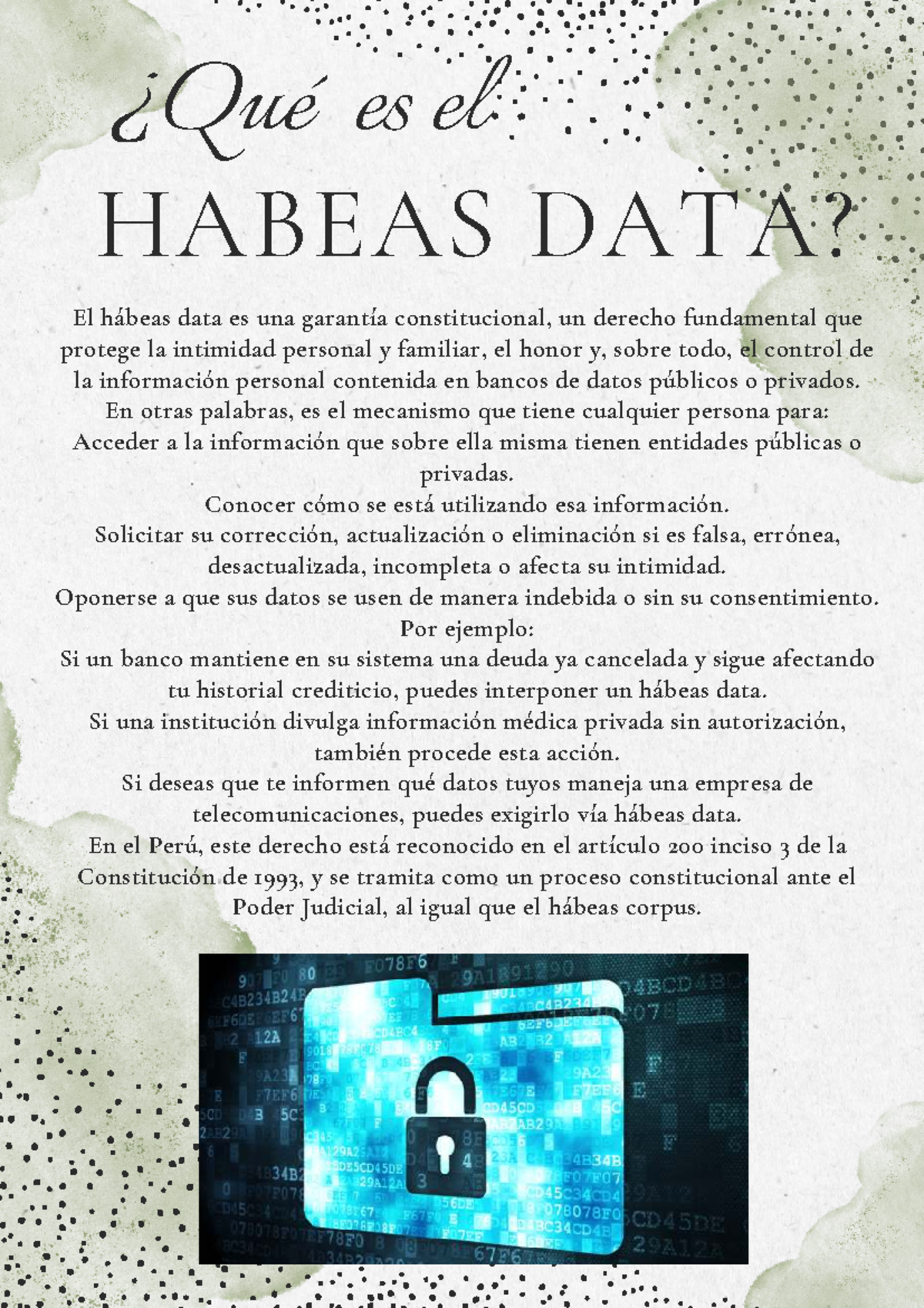 HABEAS DATA: Protección de Datos Personales y Derechos Fundamentales ...