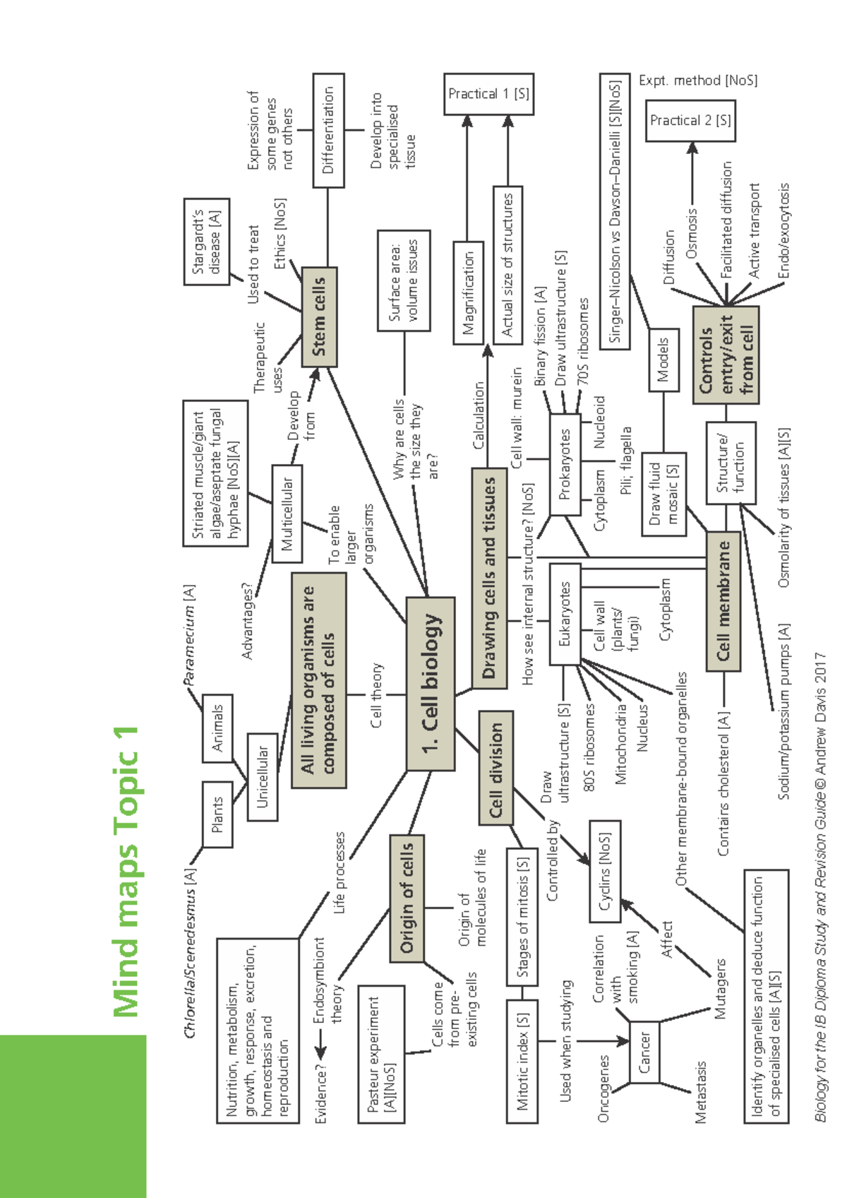 Perfil Ib Mind Map