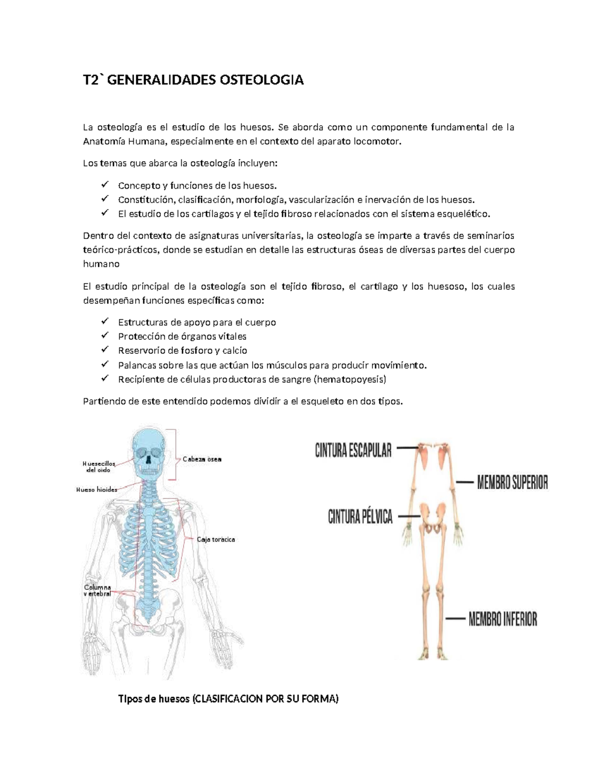 T2 Generalidades de Osteología: Estructuras y Funciones Óseas - Studocu