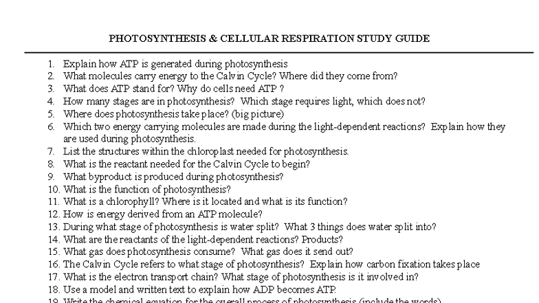 BIO 101: Photosynthesis & Cellular Respiration Study Guide - Studocu