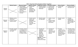 [Solved] Describe a key performance indicator List two examples from ...