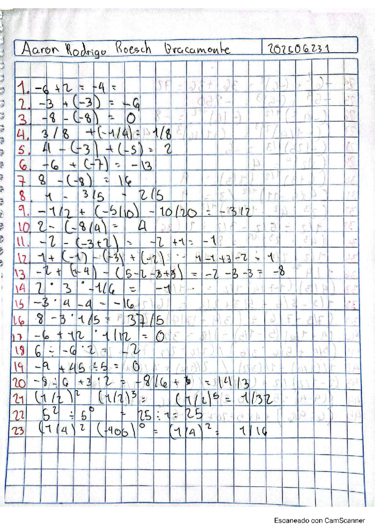 Aaron Roesch 202506231: Study Notes and Key Concepts - Studocu