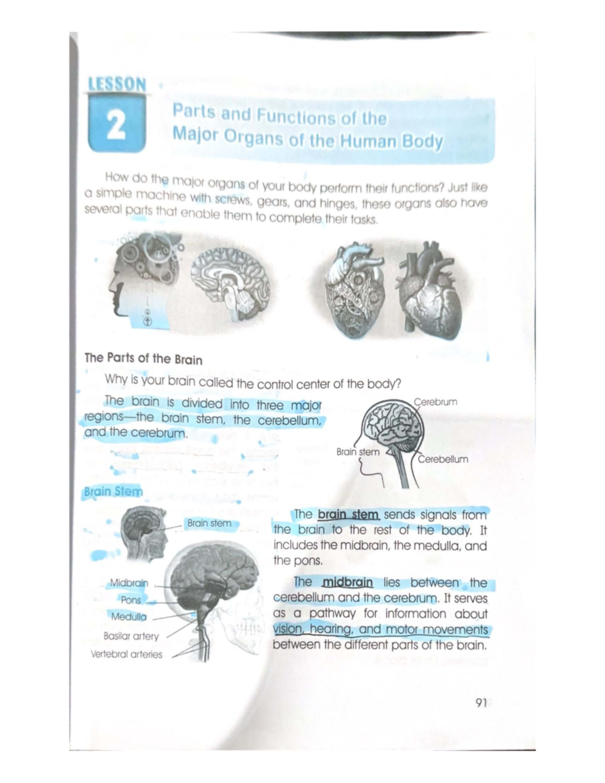 Lesson 2: Parts and functions of the major organs of the human body ...