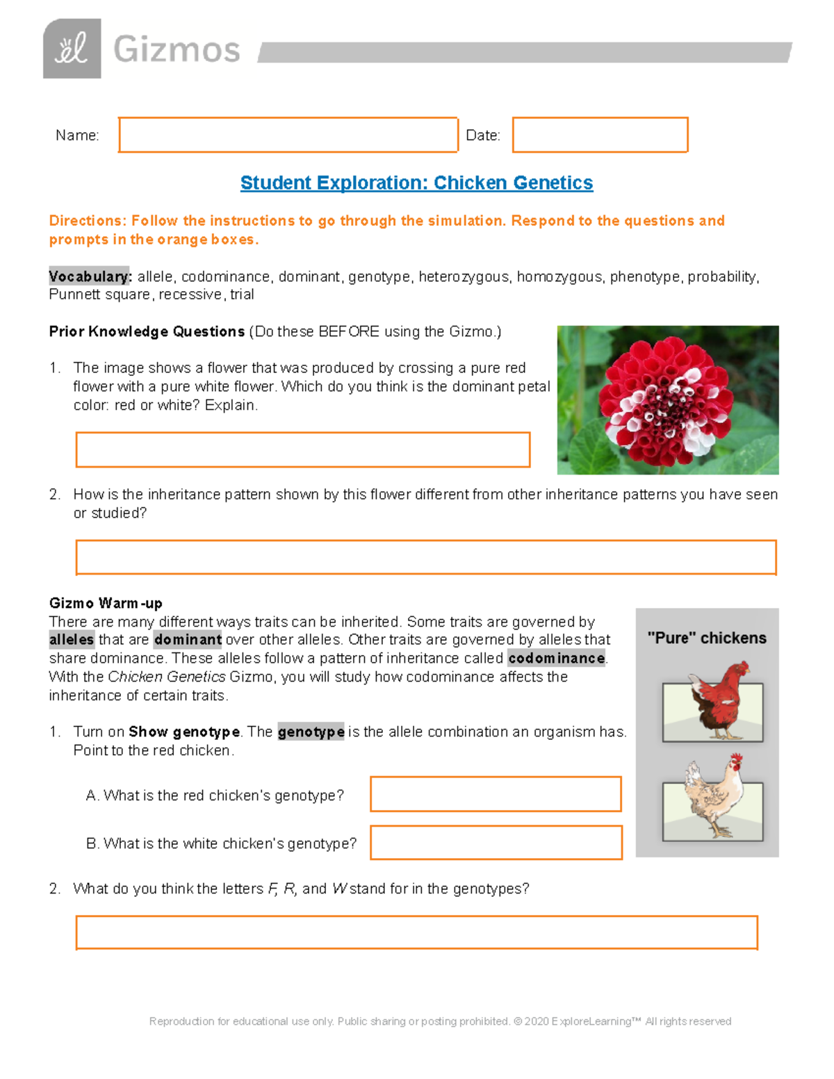 Jonah Badillo - Chicken Genetics - Gizmo SE - Name: Date: Student ...