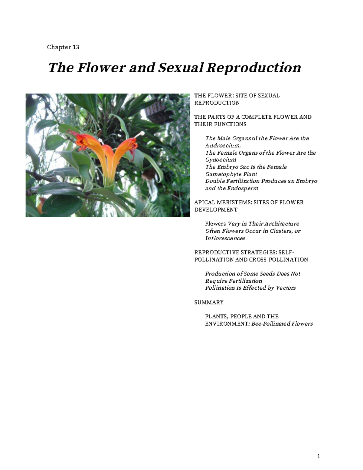 Chapter 13nf - The Flower and Sexual Reproduction in Plants - Studocu