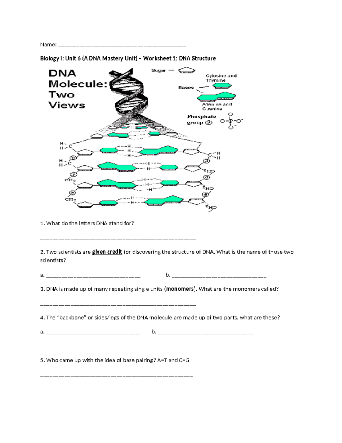 Biology I: Unit 6 DNA Structure & Replication Worksheet - Studocu
