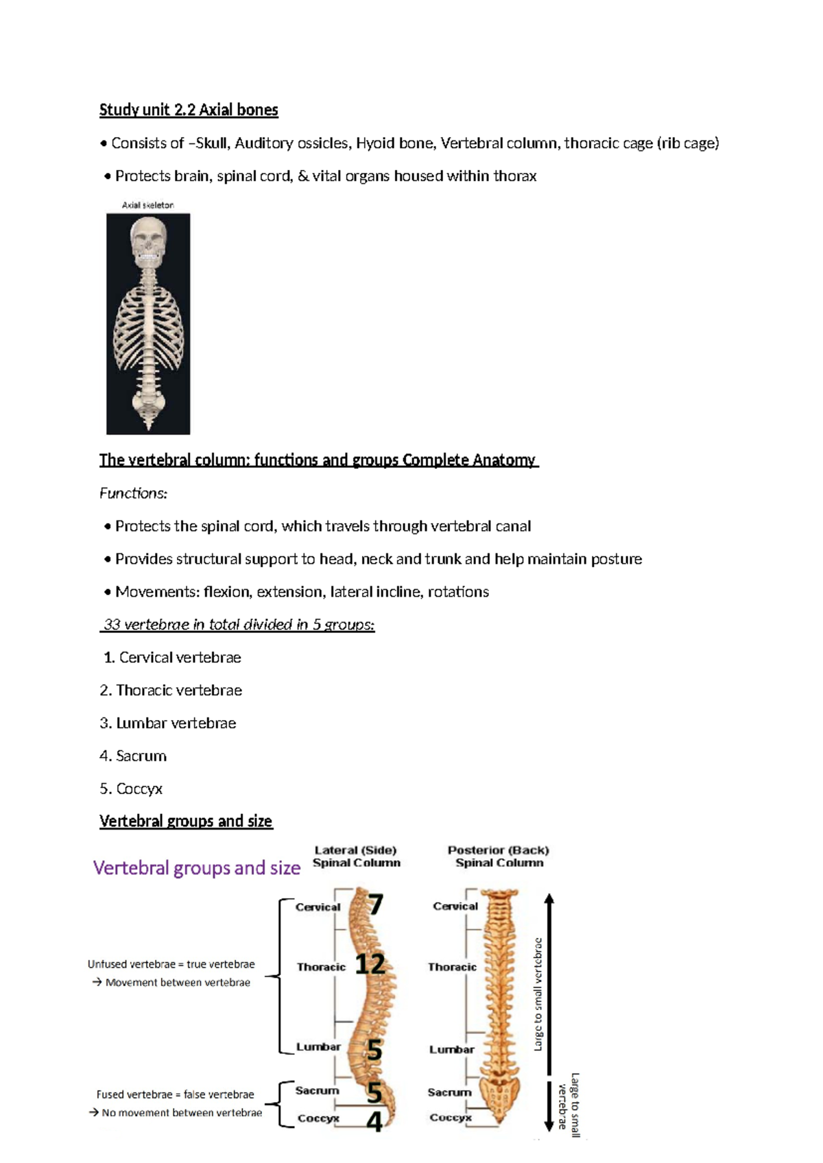 Study Unit 2.2: Anatomy of Axial Bones and Their Functions - Studocu