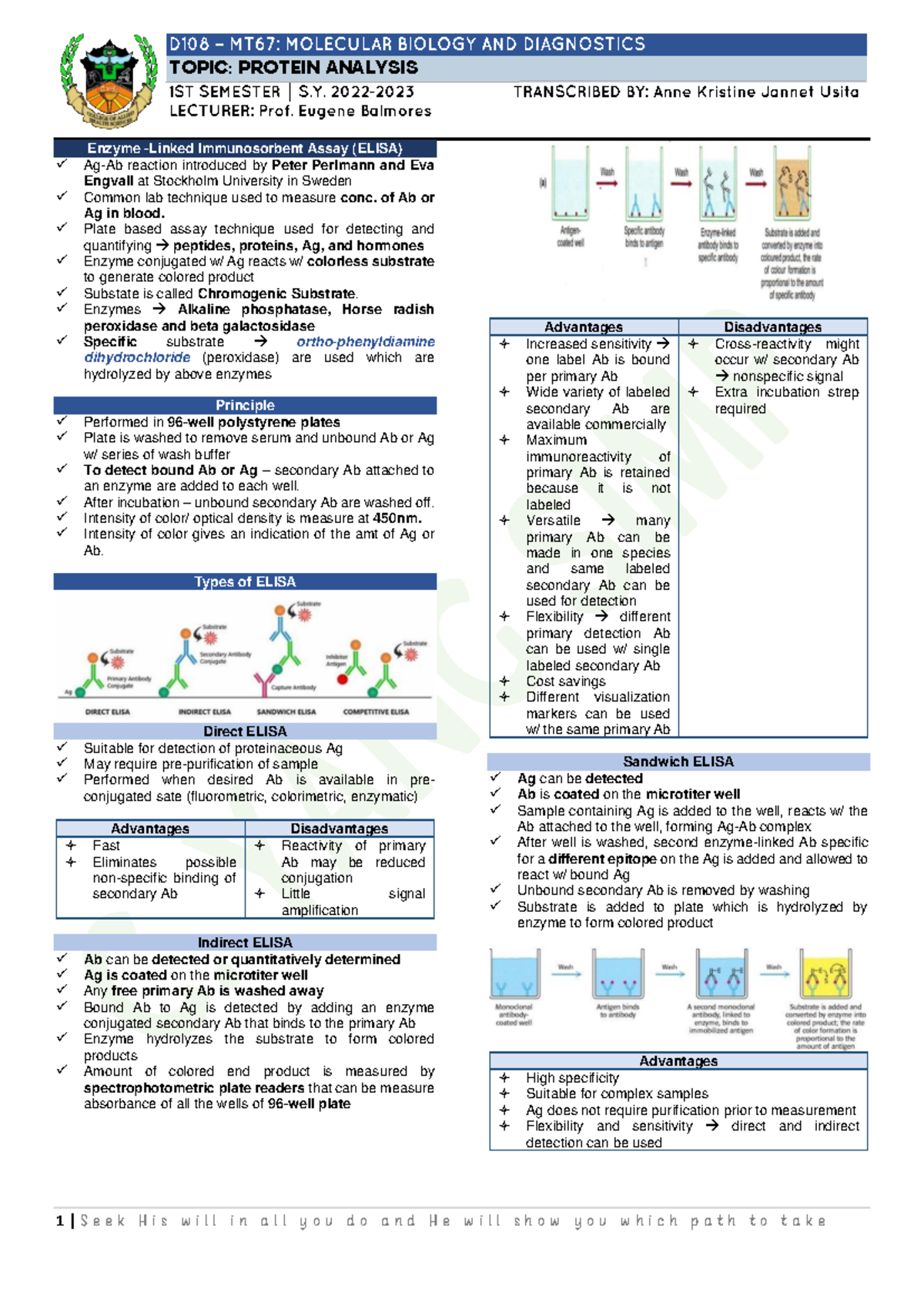 MOLBIO - Comprehensive Guide to Protein Analysis Techniques - Studocu