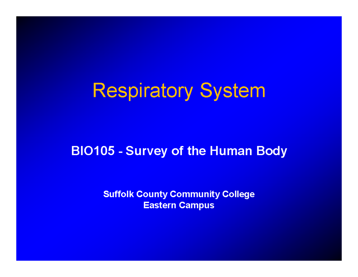 BIO105 - Lecture 06: Overview of the Respiratory System Functions - Studocu