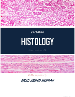 Renal histology 1 - HISTOLOGICAL STRUCTURE OF THE KIDNEYS STROMA ...