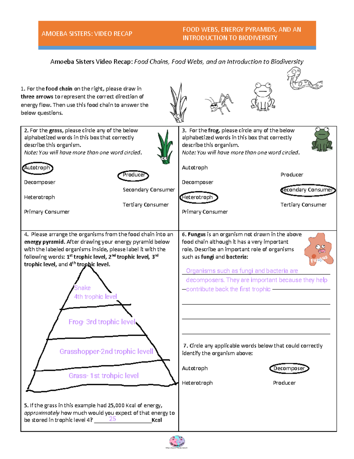 Amoeba Sisters Video Recap: Food Webs, Energy Pyramids & Biodiversity ...