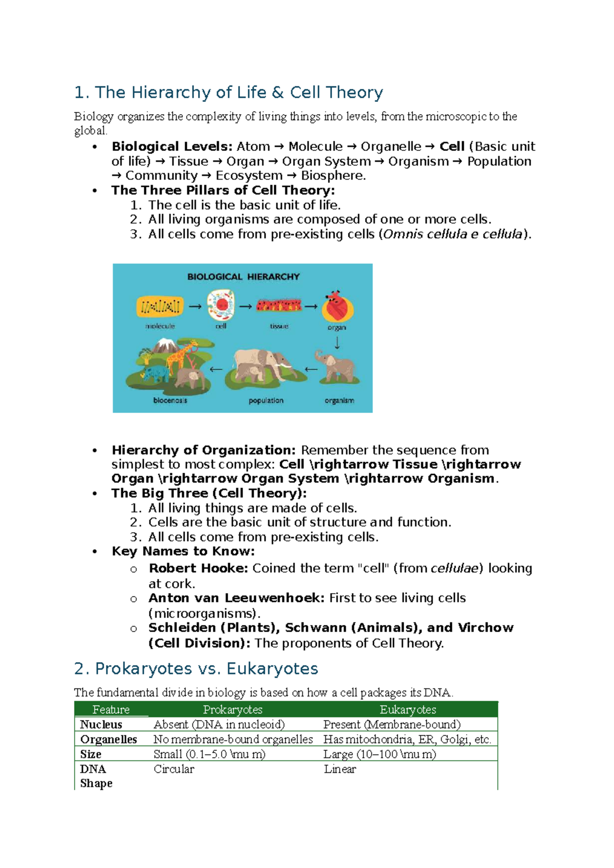 Biology 101: Hierarchy of Life & Cell Theory Overview - Studocu