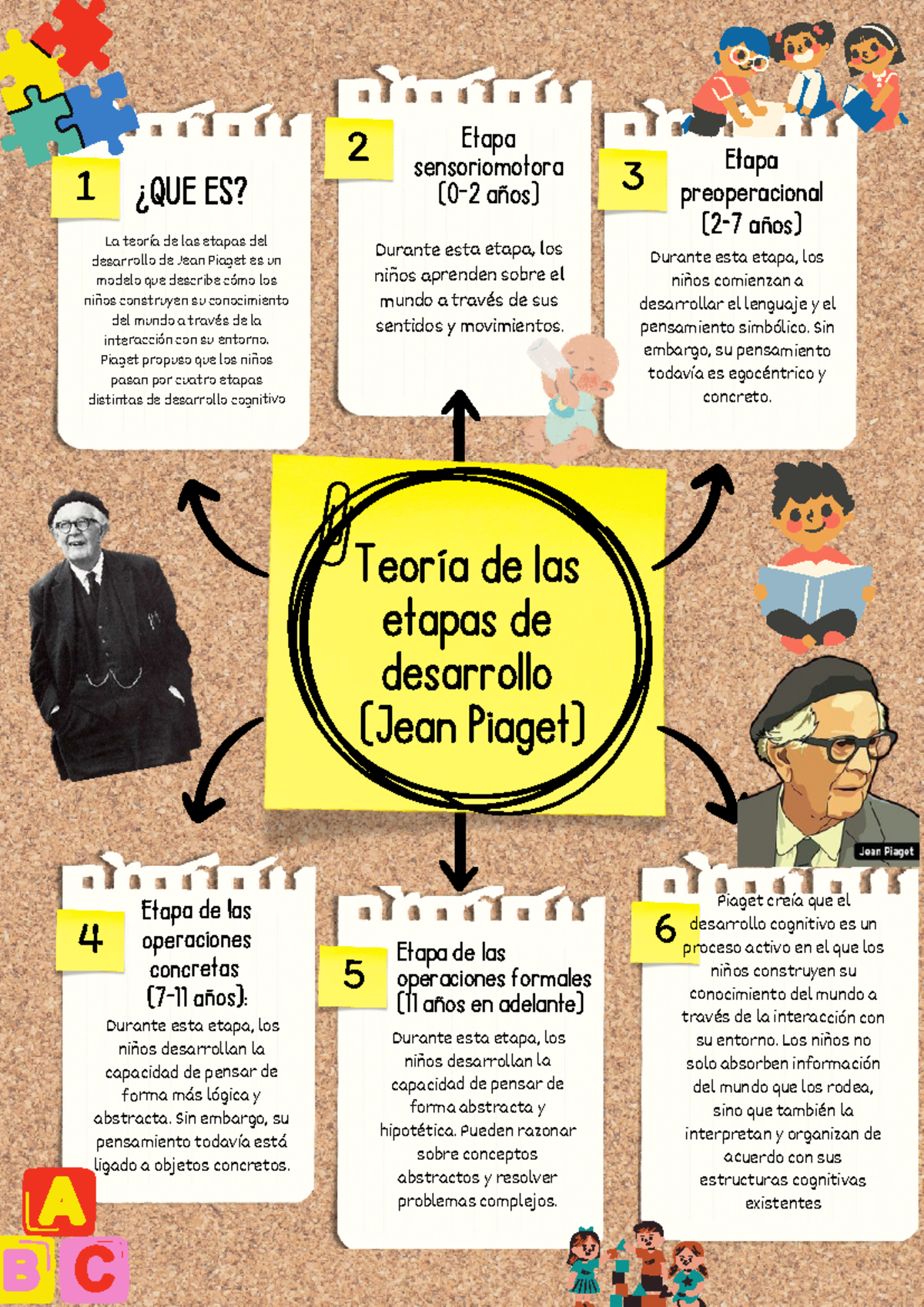 Las Etapas Del Desarrollo De Jean Piaget - Infoupdate.org