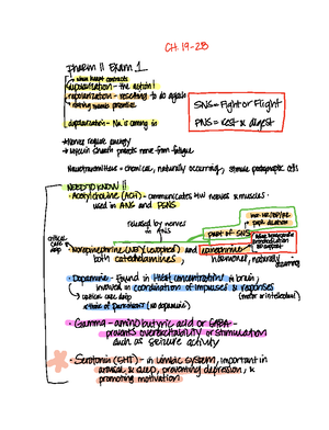 Diazepam (Valium) - Drug Card - ACTIVE LEARNING TEMPLATES Medication ...