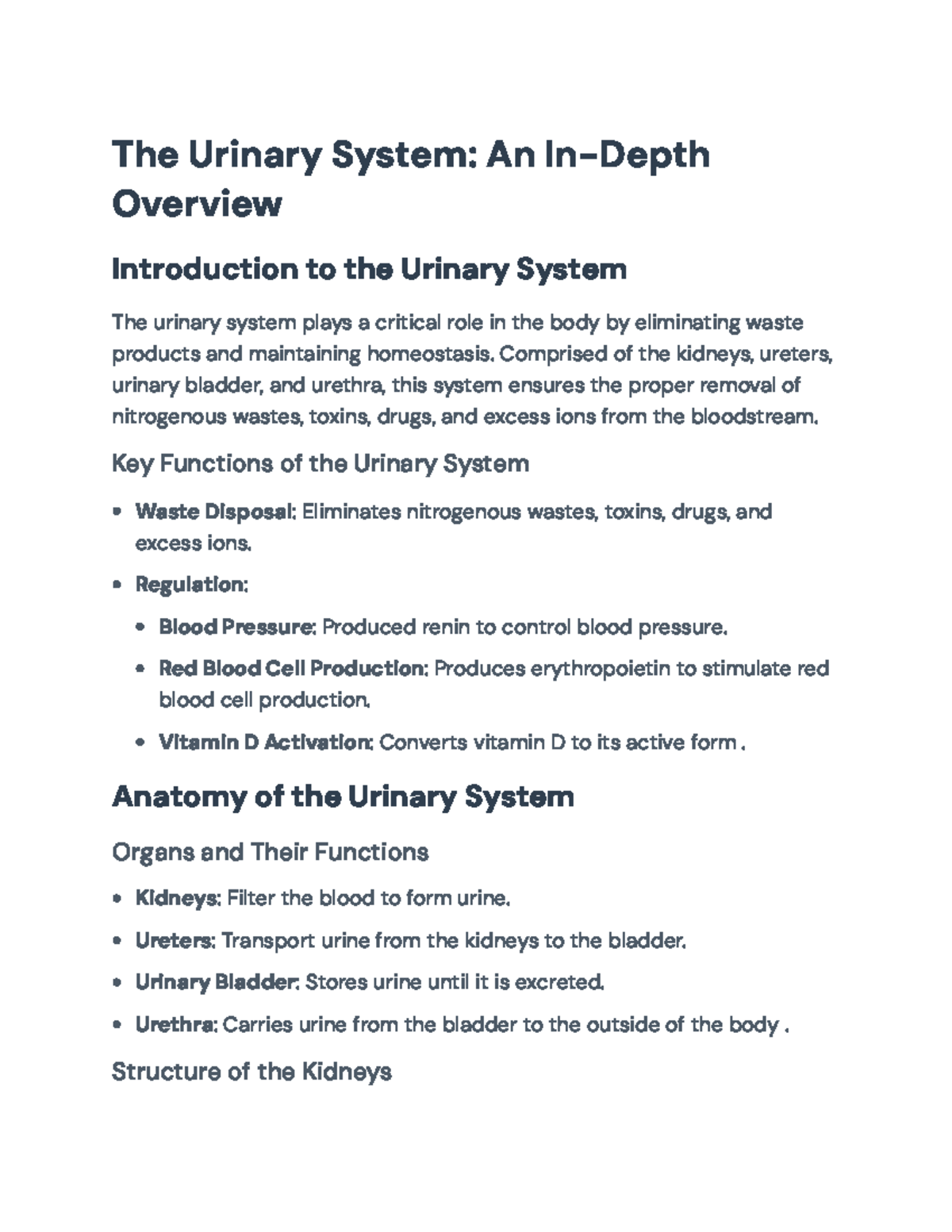 Urinary System Overview: Functions, Anatomy, and Processes - The Urinary System: An In-Depth ...
