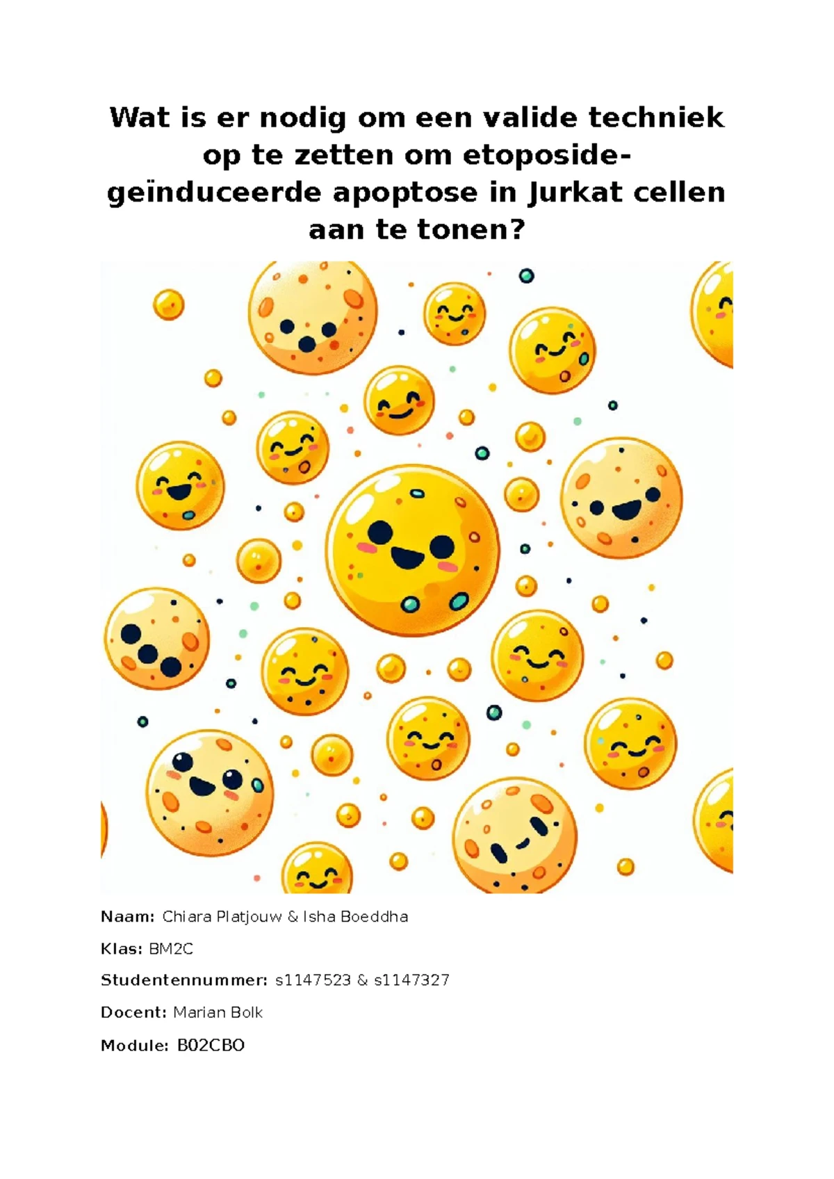 Verslagwijzer 2122 - hoe je een verslag moet schrijven en richtlijn ...