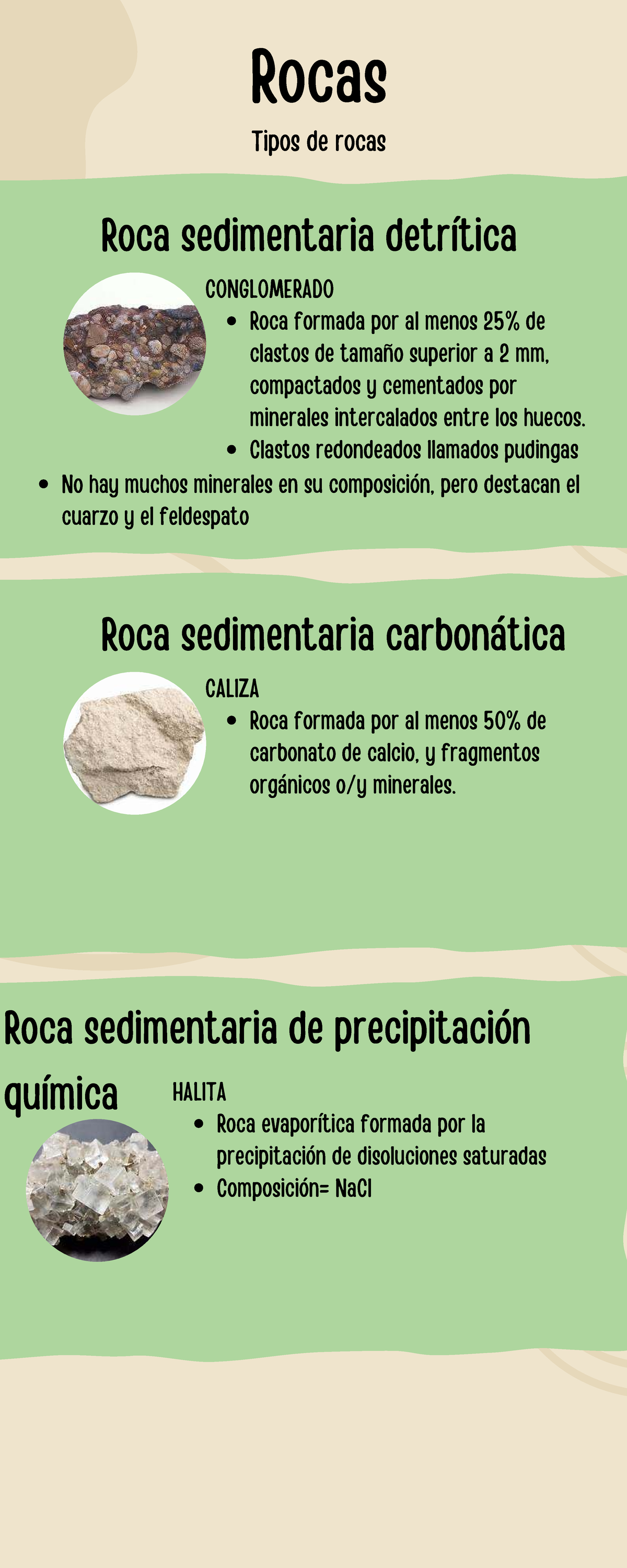 Roca Sedimentaria Química Día202 Caliza Oolítica #Roca Sedimentaria