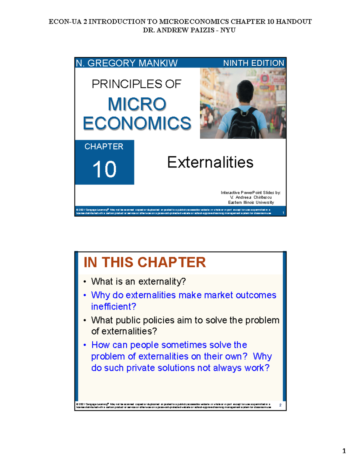 CH10 Externalities in Microeconomics: Understanding Market Failures ...