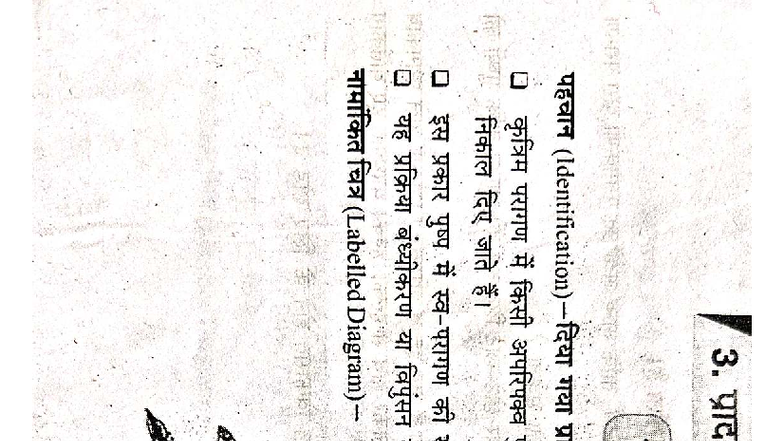 3. Spotting Botany 12th - Labelled Diagrams and Notes - Studocu