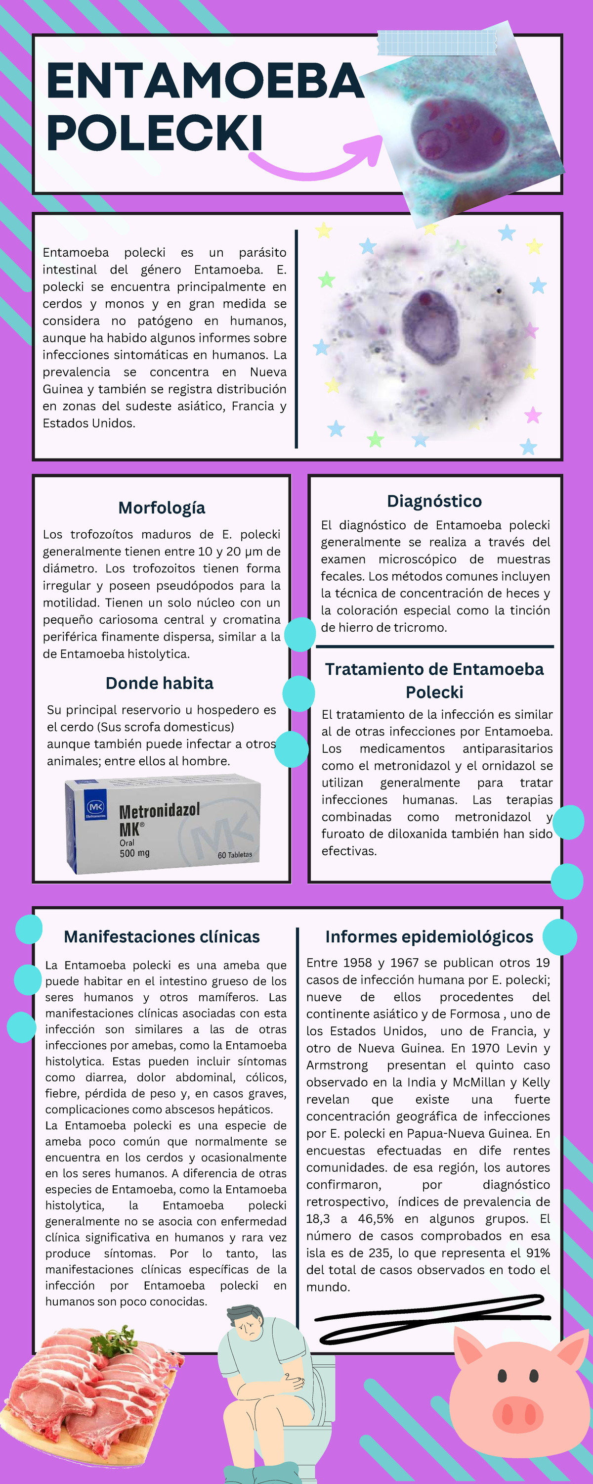 Entamoeba polecki: características, diagnóstico y tratamiento - Studocu