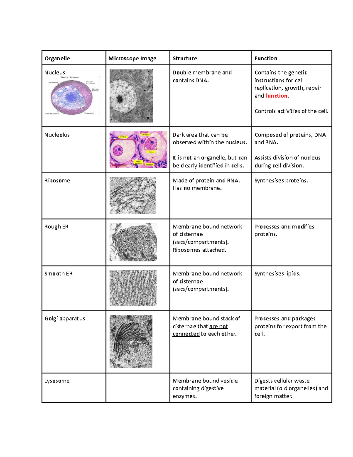 Bio Notes - Module 1 & 2: Cell Organelles and Digestive System ...