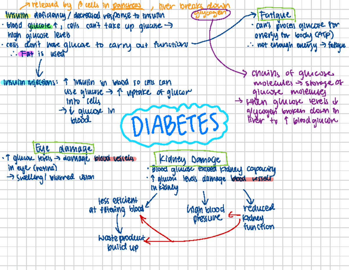 Biosci 101 Lab 2: Understanding Diabetes and Insulin Response - Studocu