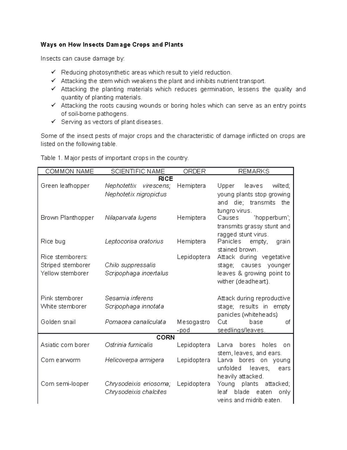 Ways on How Insects Damage Crops and Plants - Attacking the stem which ...
