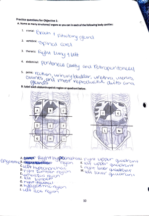 Structure and Function of the Body - 16th Edition - Exam Notes - 272 ...